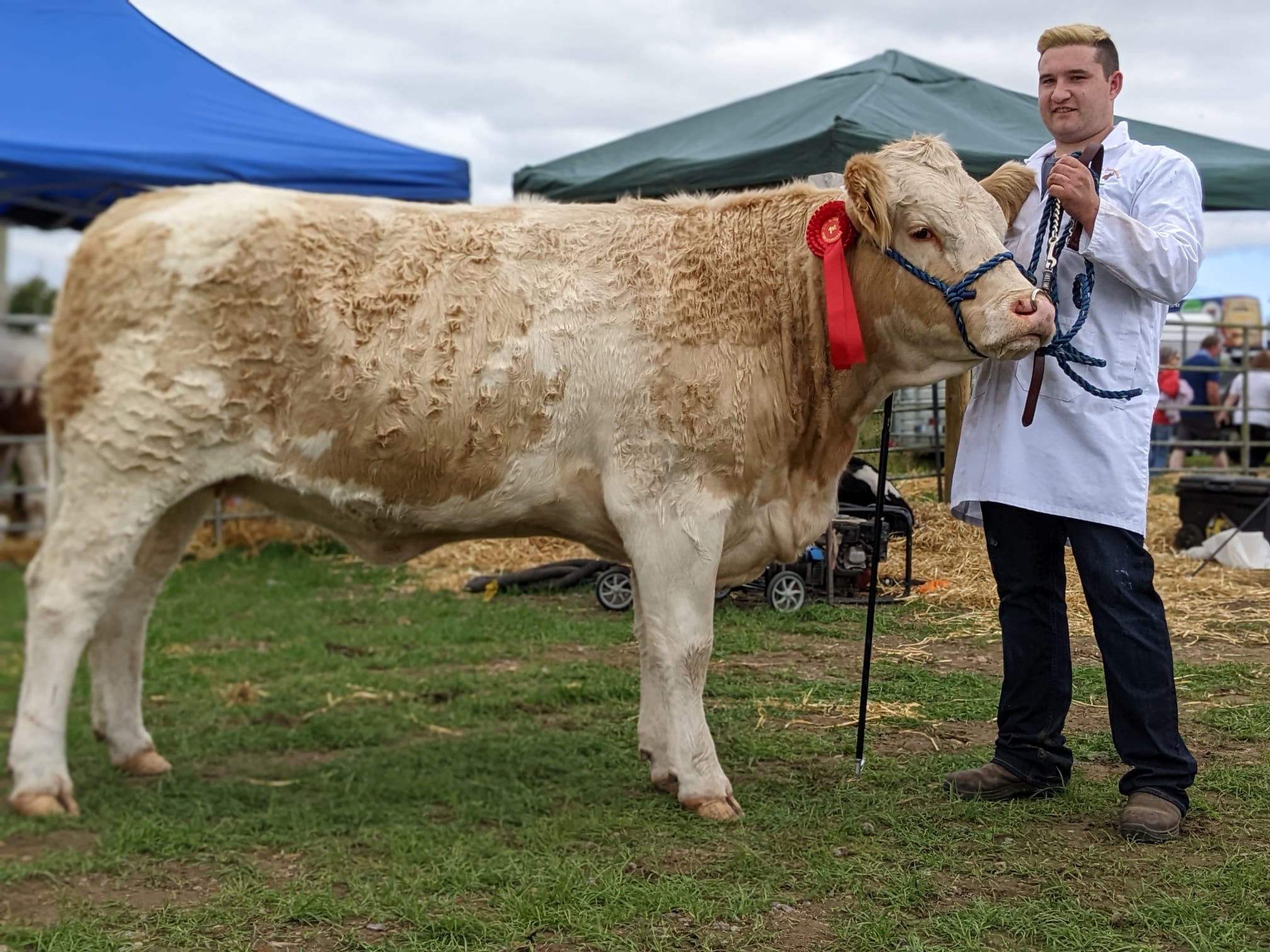Connacht Simmentals – An insight to the farm